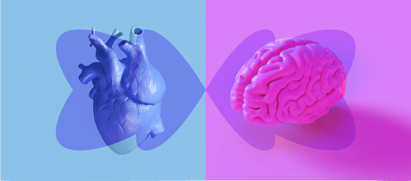 Trace Brand Building | Denver Brand Strategy, Design, and Marketing Agency